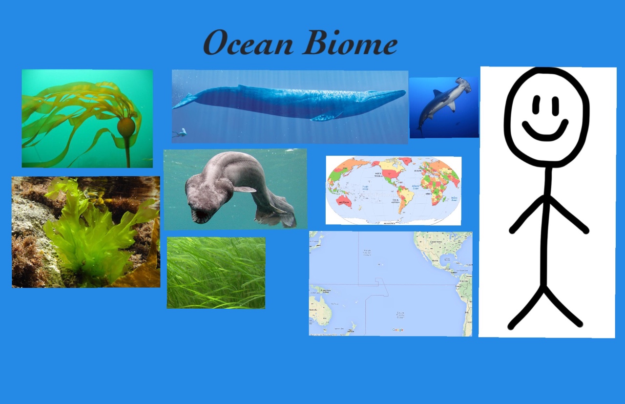 Ocean Biome Project