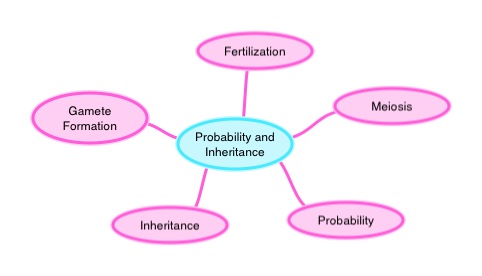 Welcome to CK-12 Foundation | CK-12 Foundation